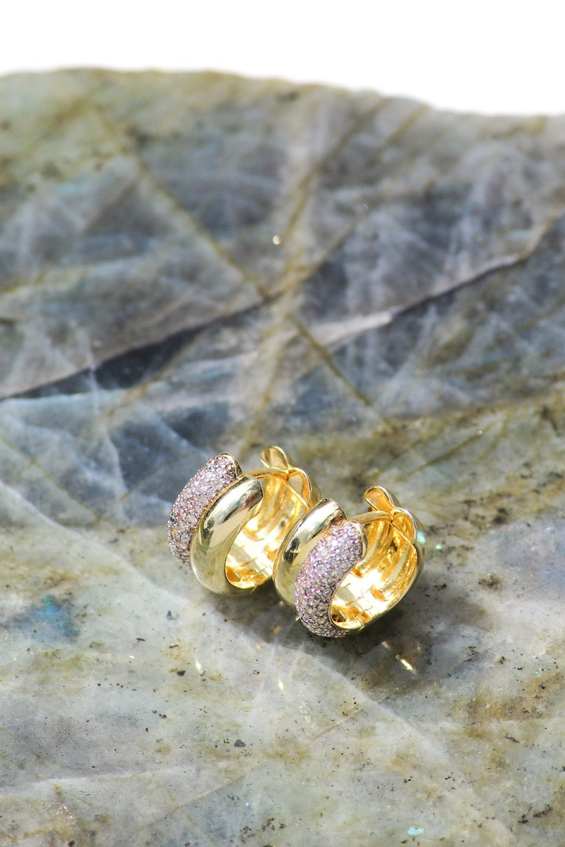 Earrings – Native Gem